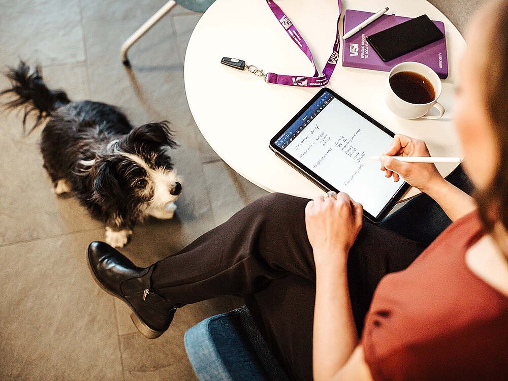 About us | VSI Group