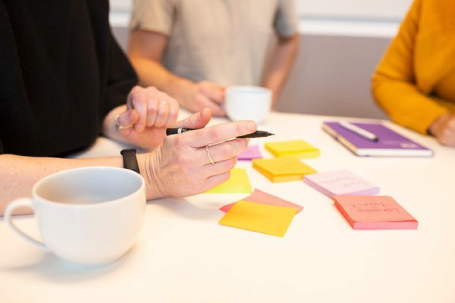 Lead Script Editor | Los Angeles