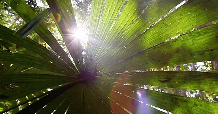 Perspective Film Production Case Study | VSI Group