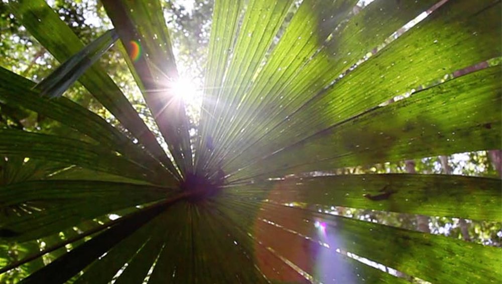 Our Experience | VSI Group